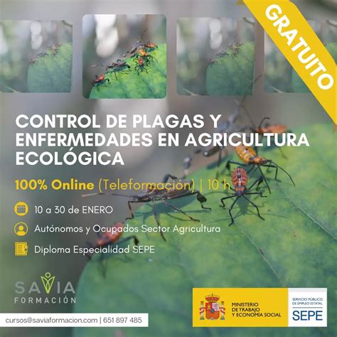 Control De Plagas Y Enfermedades En Agricultura Ecológica Agau26