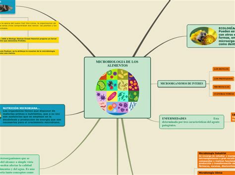 MICROBIOLOGIA DE LOS ALIMENTOS Mindmap