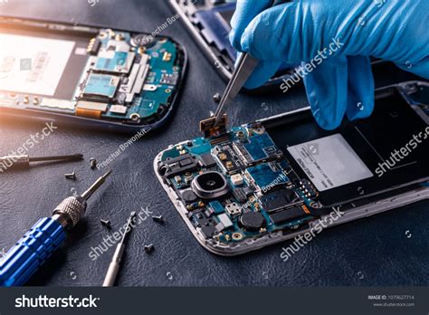 Cell Repair Images Stock Photos Vectors Shutterstock