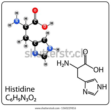 Histidine Molecule Structure Vector De Stock Libre De Regalías