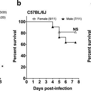 Differential Susceptibility To GAS Due To Host Genetics And Sex Download Scientific Diagram