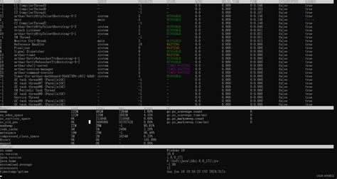 Arthas线上环境问题排查定位工具java现场定位工具 Arthas Csdn博客