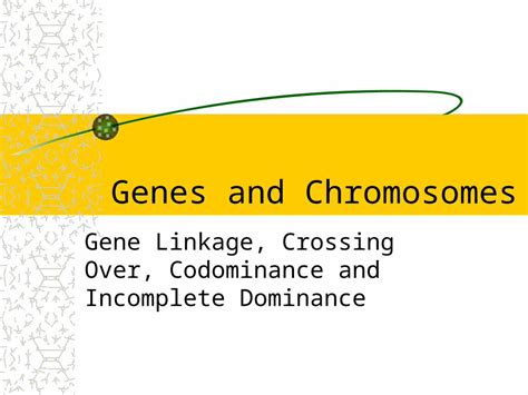 PPT Genes And Chromosomes Gene Linkage Crossing Over Codominance