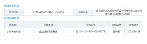 中国石油天然气股份有限公司河南平顶山分公司汝州第七加油站光伏项目