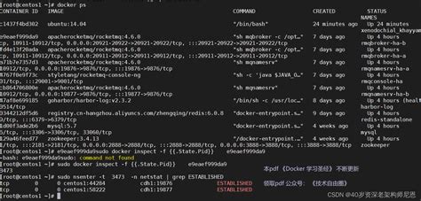 Docker圣经：大白话说docker底层原理，6w字实现docker自由docker 学习圣经 Csdn博客