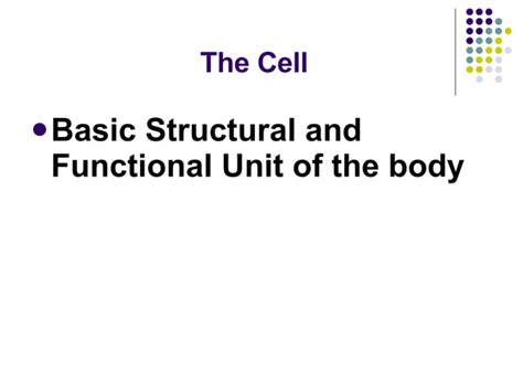 Anatomy And Physiology Slides Ppt