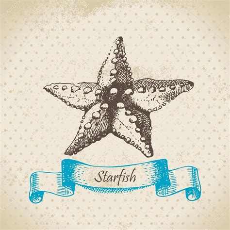 Starfish Hand Drawn Illustration — Stock Vector © Pimonova 17448393