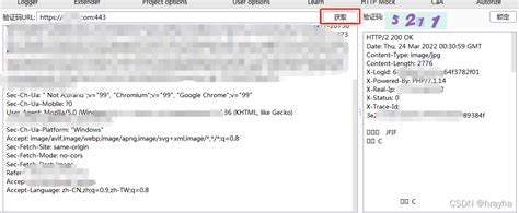 使用burp插件实现图片验证码的识别 Burp验证码识别插件 Csdn博客