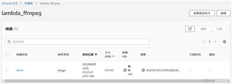 在aws Lambda上部署标准ffmpeg工具——docker方案ffmpeg Dockerfile试玩互动的博客 Csdn博客