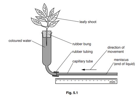 IGCSE Biology 0610 8 3 Transpiration IGCSE Style Questions Paper 3