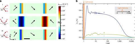 Electronic Carrier Evolution And Ferroelectric Domain Dynamics Center