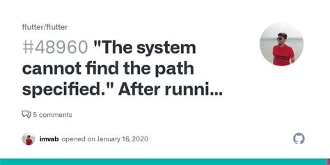 the system cannot find the path specified after running any flutter