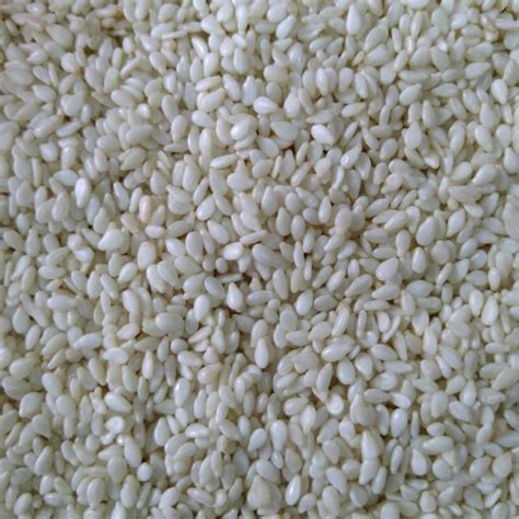 Jual Wijen Wijen Putih Repack Shopee Indonesia