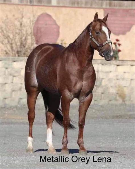 Metallic Orey Lena Aka Em Stetson Ranches