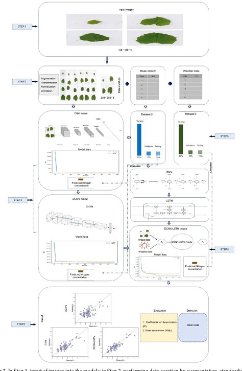 figure 4 from using a hybrid neural network model dcnn lstm for image