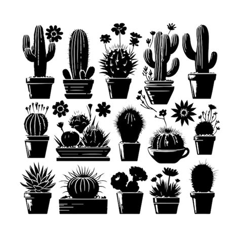 Premium Vector Different Types Of Cactus Silhouette Vector Set