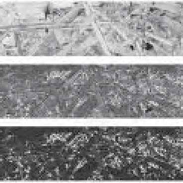 OSB 3 Superfi Nish Parallel Direction Lower Face Top Down Raster