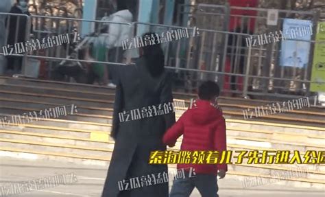 秦海璐王新军带儿子出游 一家人牵手同框超幸福新浪图片