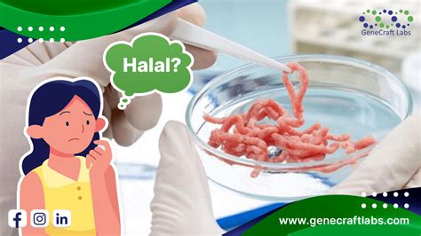 Ngs Next Generation Sequencing Genecraft Labs