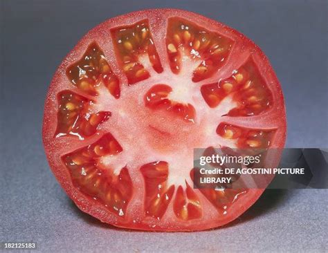 Tomato Cross Section Photos And Premium High Res Pictures Getty Images