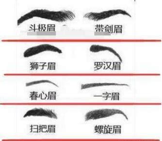 狮子眉图片 狮子眉 代表人物 伤感说说吧
