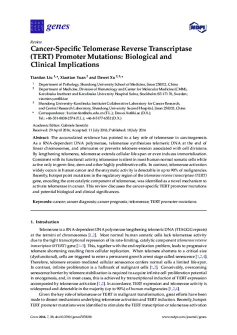 Pdf Cancer Specific Telomerase Reverse Transcriptase Tert Promoter Mutations Biological And