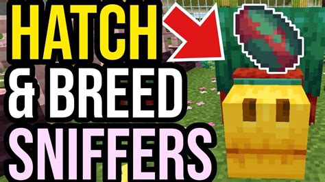 How To Hatch Sniffer Eggs In Minecraft Fast Breed Sniffers And Grow