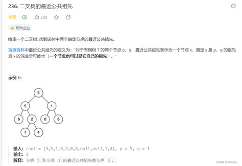 二叉树 递归和回溯 二叉树 回溯 csdn博客
