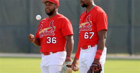 Minor League Report Cardinals Prospect Jordan Walker Homers Moises