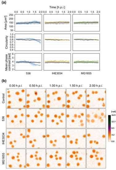 Microorganisms Special Issue Virulence Factors And Antibiotic