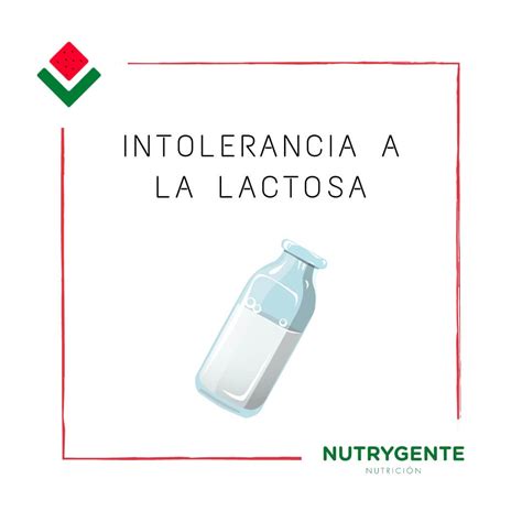 Intolerancia A La Lactosa ¿qué Hacer Nutrygente