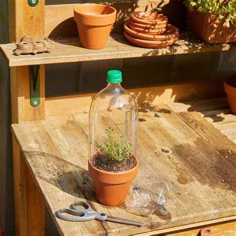 Trucos de jardinería geniales que te alegrarás de saber