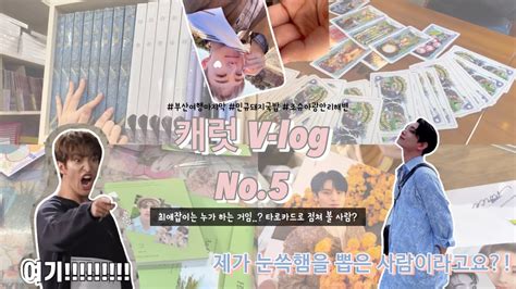 캐럿 브이로그 부산 2편 눈쓱햄을 만나다ㅣ타로카드로 최애잡이 기원하는 거 다들 어때ㅣ세븐틴앨범깡ㅣ언오드호프ㅣ헹가래넷ㅣ