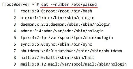 Must Know Usage Of Cat Command In Linux Cheat Sheet GoLinuxCloud