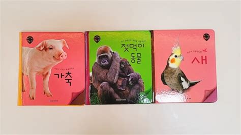 키즈스콜레 마이퍼스트월드 가축 책놀이 농장 스몰월드 🐄🐖🐏🐔 네이버 블로그