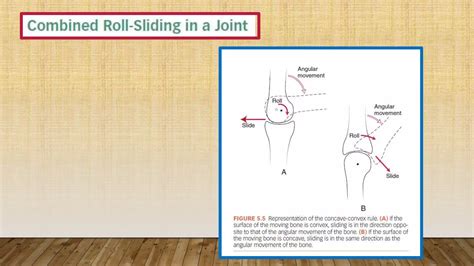5 Peripheral Joint Moblization And Manipulation Pptx