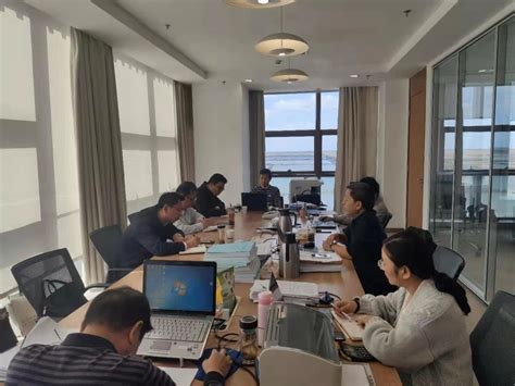 盐城市审计局 审计资讯 盐城市审计局党组成员、副局长张晓鸣到海兴集团调研市属国有企业高质量发展