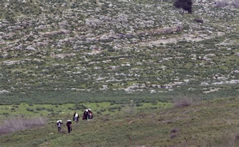 Syrian Refugees Flee Fighting In Idlib To Nearby Turkey