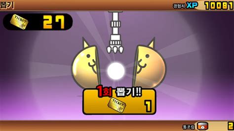 하이퍼 고양이 축제 Youtube