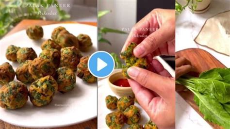 Palak Paneer Pakoda Recipe नाश्तात बनवा पालक पनीर पकोडा पाहा रेसिपीचा