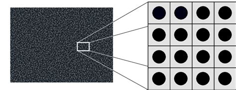 A Schematic Representation Of The Scaling Procedure Within A Natural