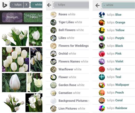 Bing Image Search Adds Bubbles To Improve The Mobile Search Experience