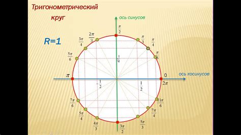 Определение синуса косинуса Тригонометрический круг Youtube