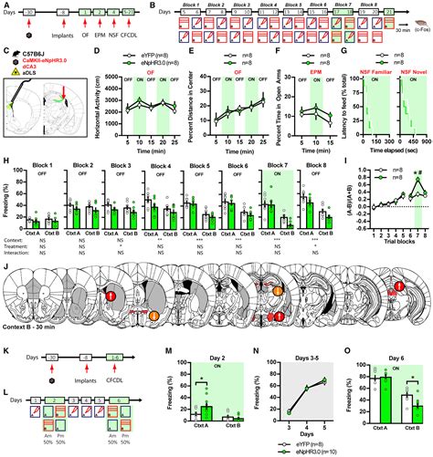 distinct dorsal and ventral hippocampal ca3 outputs govern contextual