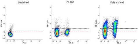 Controls For Flow Cytometry Bio Rad Flow Cytometry Dot Plot Flow