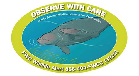 Fwc Unveils New Manatee And Sea Turtle Decals Available For 5