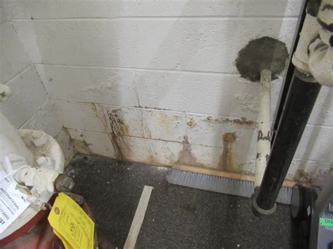 Basement Cinder Block Fine Power Efflorescence Like Internachi®️ Forum