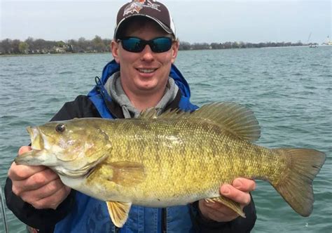 Smallmouth Bass Guide Lake St Clair Spencers Angling Adventures