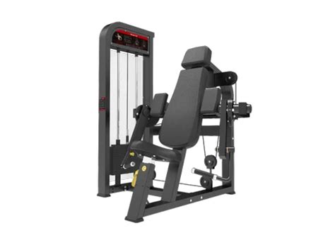 Arm Curl For Gym Size L W H At Best Price In Mumbai ID