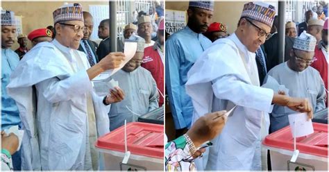 Breaking Buhari Votes In Katsina Party Identity Of Candidate